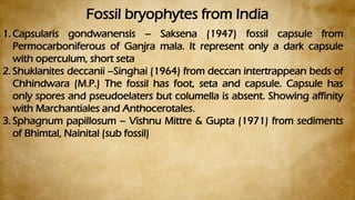 CONSERVATION OF BRYOPHYTES AND FOSSIL BRYOPHYTES | PPTX