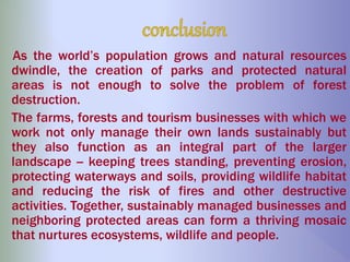 Conservation of eco system | PPTX