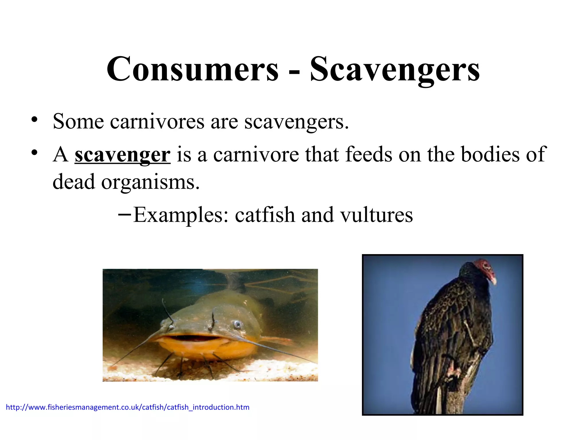 Conservation of environment for future | PPT