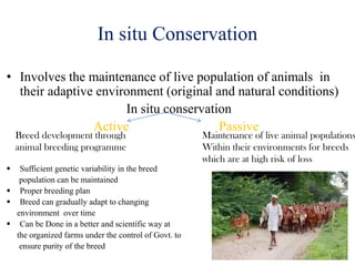 Conservation of farm animal genetic resources | PDF
