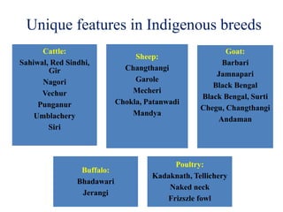 Conservation of farm animal genetic resources | PDF