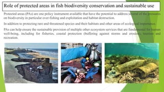 conservation of fisheries resources through protected areas and marine ...
