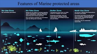 conservation of fisheries resources through protected areas and marine ...