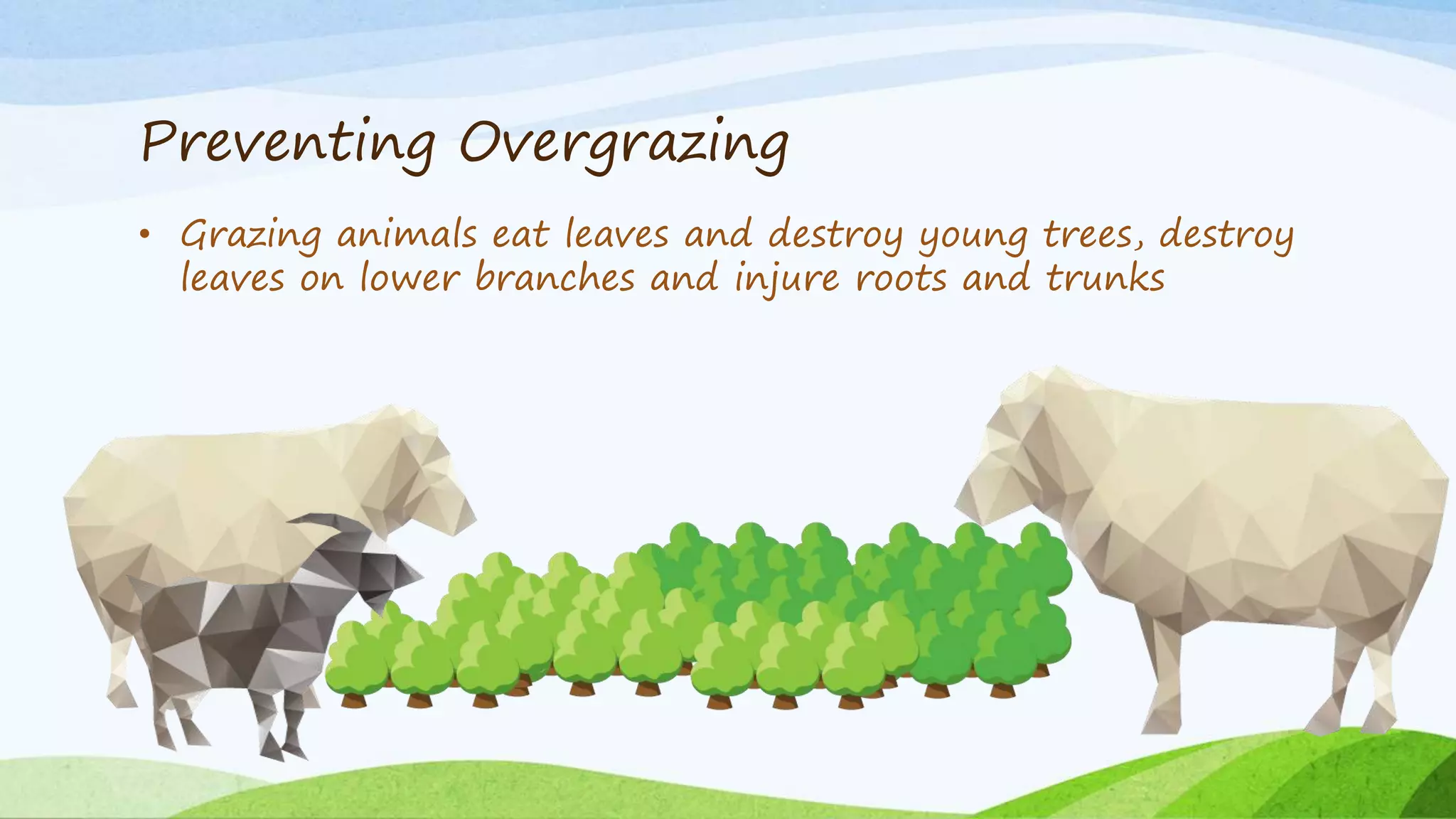 Conservation of Forest | PPTX