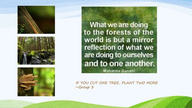 Conservation of Forest | PPTX | Environment | Science