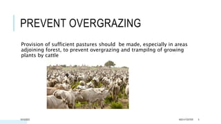 Conservation of forest.pptx