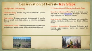 Conservation of forest and wildlife.pptx