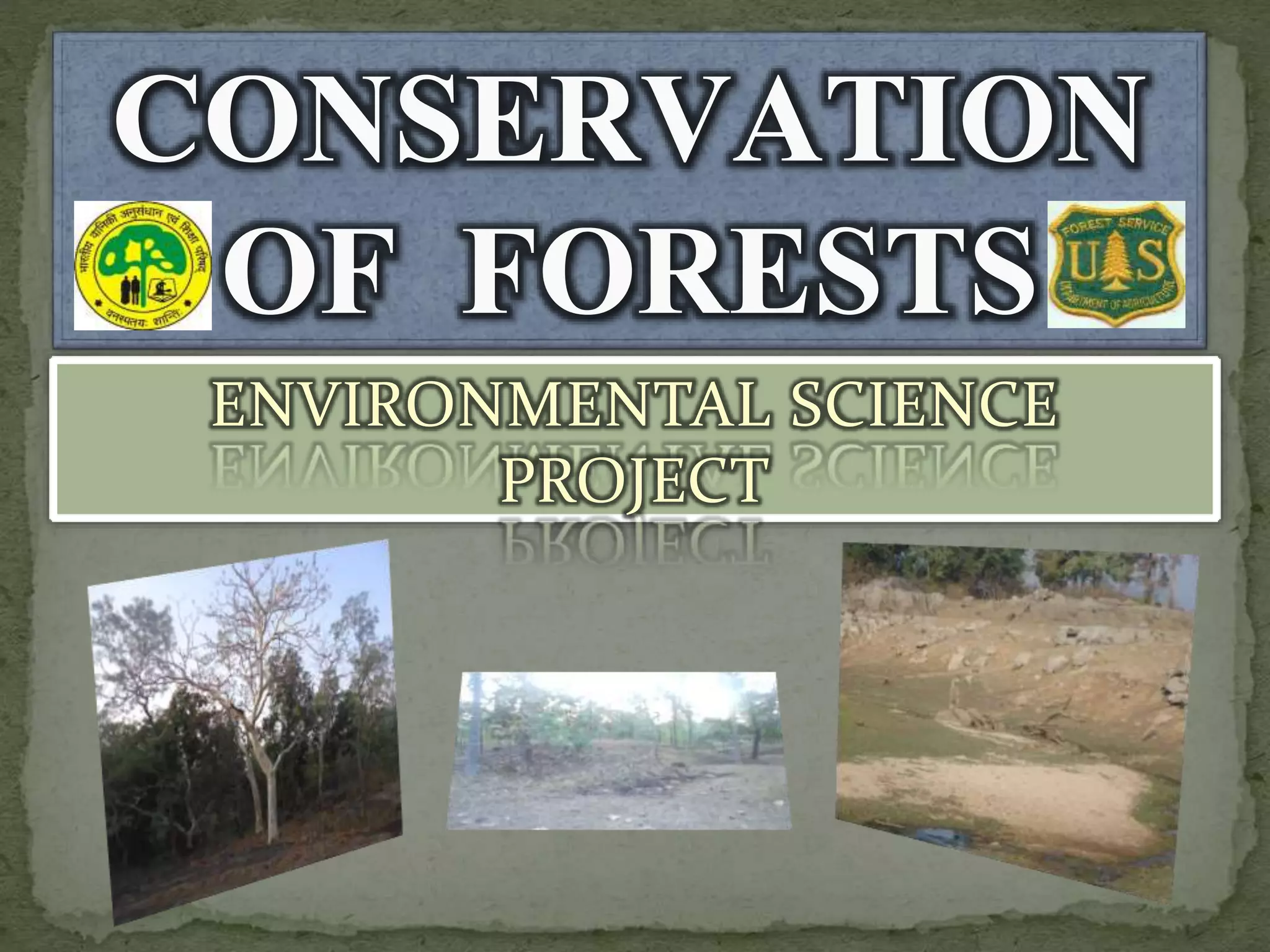 Conservation of forests | PPTX | Agriculture | Industries