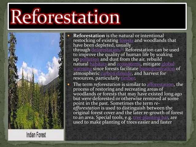 Conservation of forests | PPTX | Agriculture | Industries