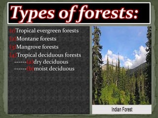 Conservation of forests | PPTX | Agriculture | Industries