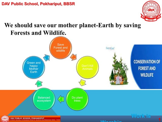 Conservation of forests and wildlife | PPTX | Agriculture | Industries