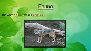 Conservation of wildlife and Forest (Class 8) | PPTX