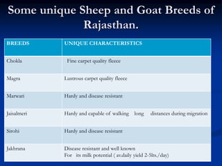Conservation of genetic resources of sheep and goats | PPTX