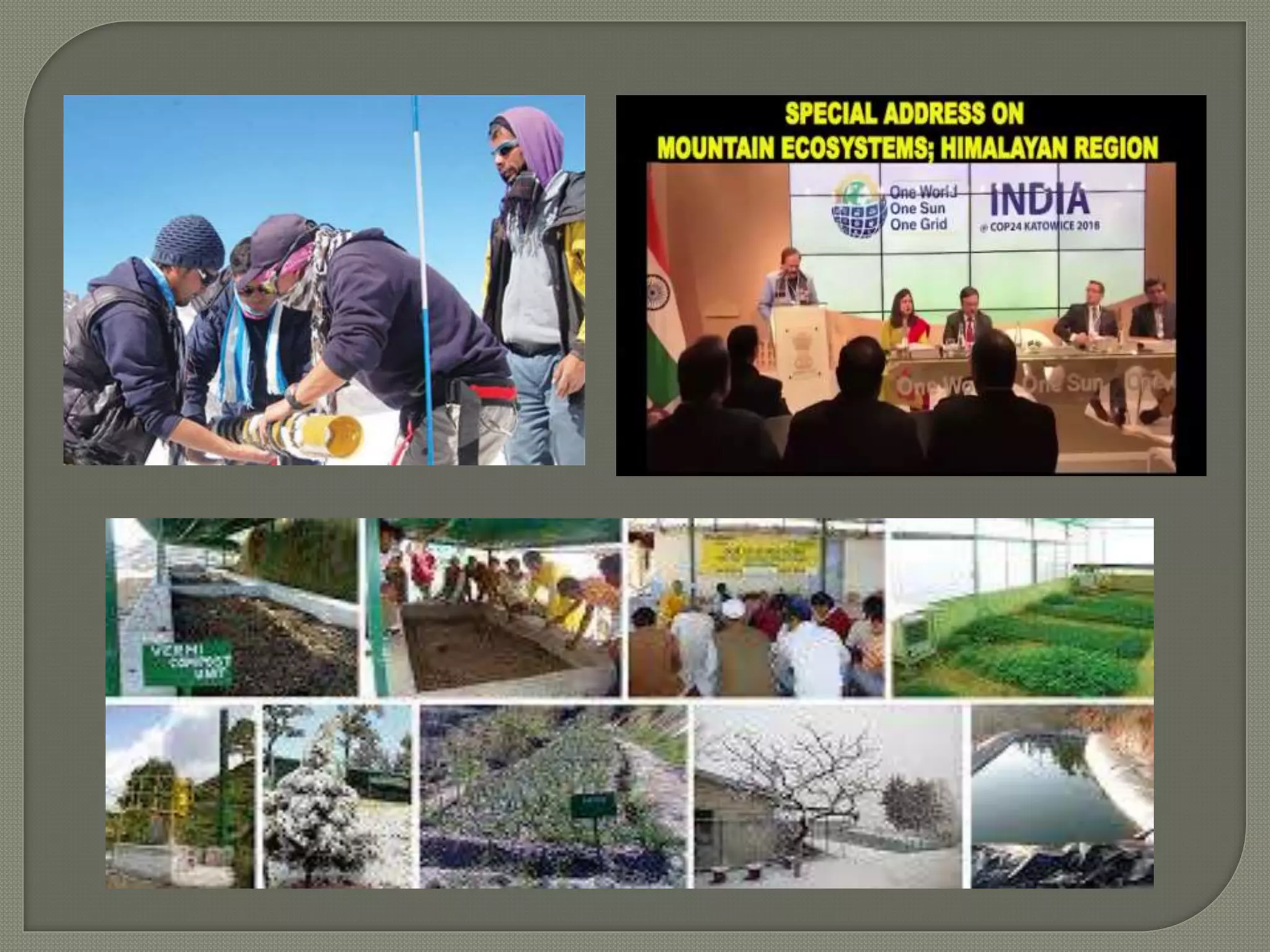 Conservation of himalayan ecosystem Allahabad University | PPTX