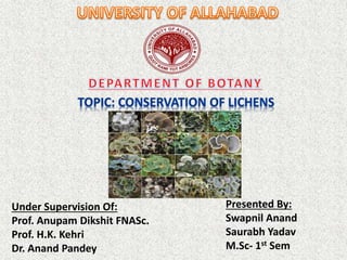 Conservation of lichen- Swapnil & Saurabh.pptx