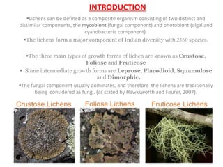 Conservation of lichen- Swapnil & Saurabh.pptx