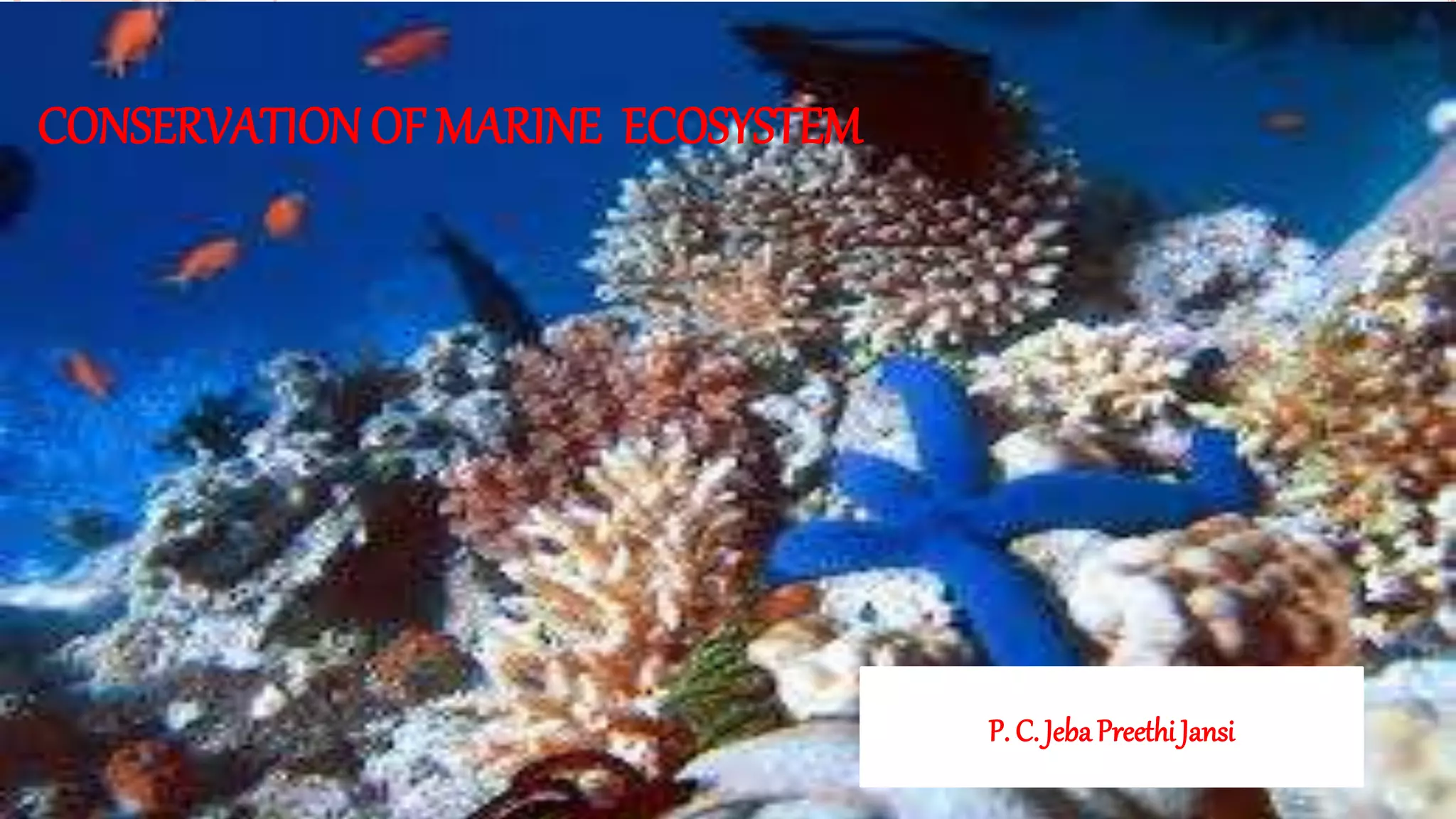 Conservation of marine ecosystem | PPTX