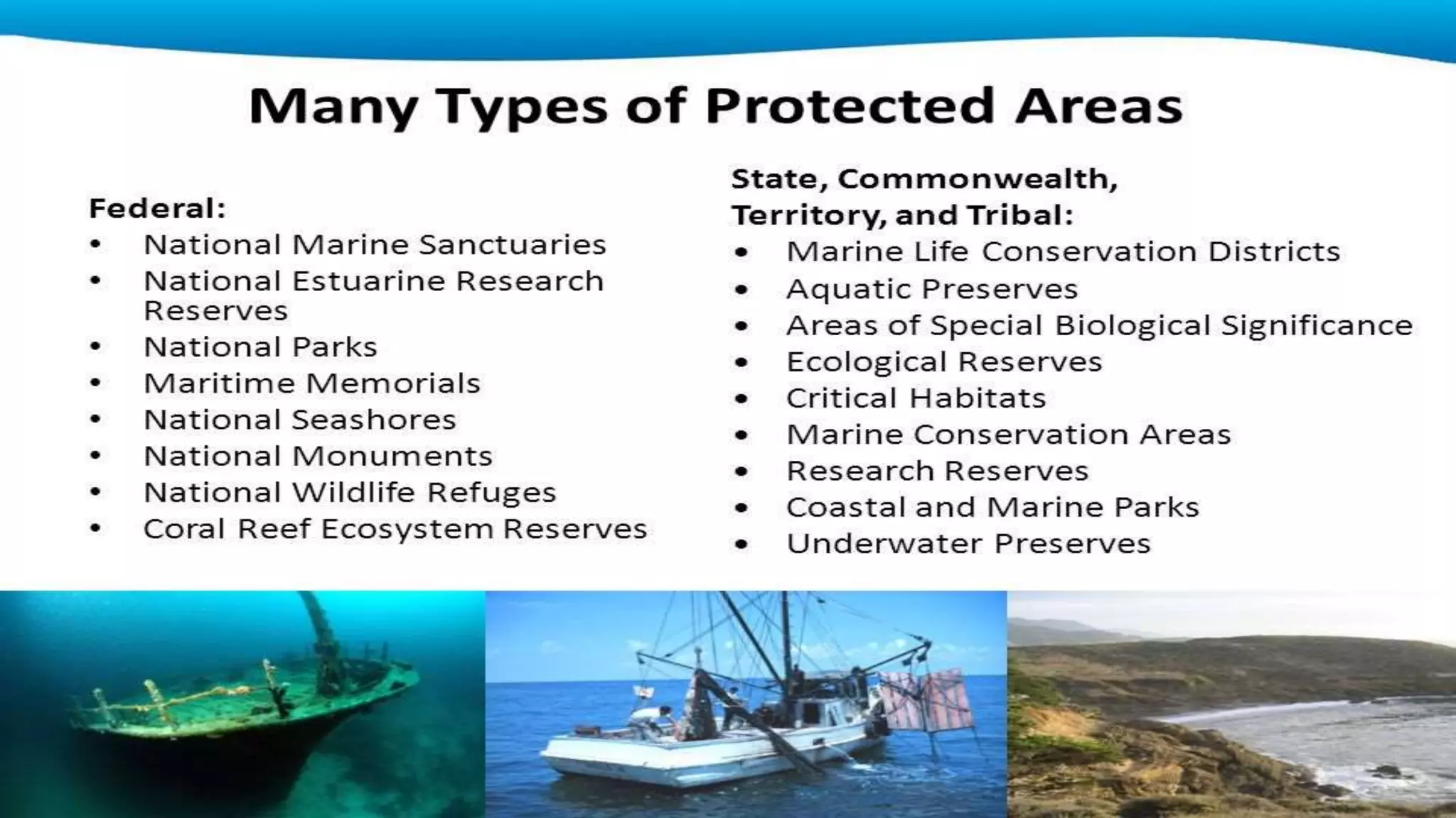 Conservation of marine ecosystem | PPTX
