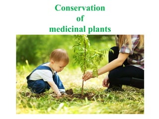 Conservation of medicinal plants | PPTX