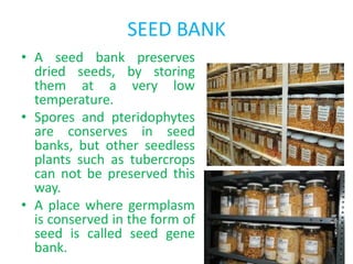 Conservation of medicinal plants | PPTX