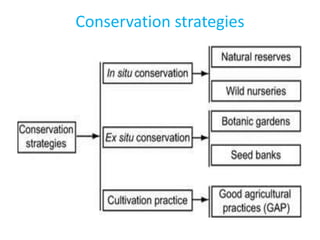 Conservation of medicinal plants | PPTX