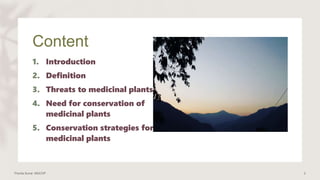 Conservation of Medicinal Plants/ B. Pharm/ Pharmacognosy ...