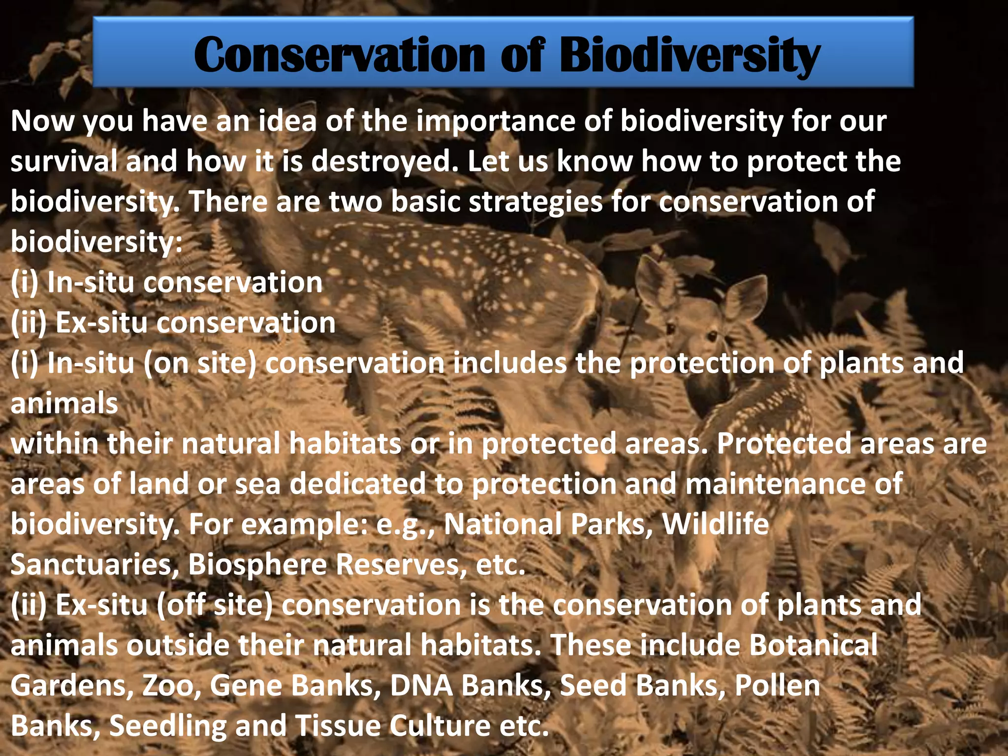 Conservation of natural resources | PPTX