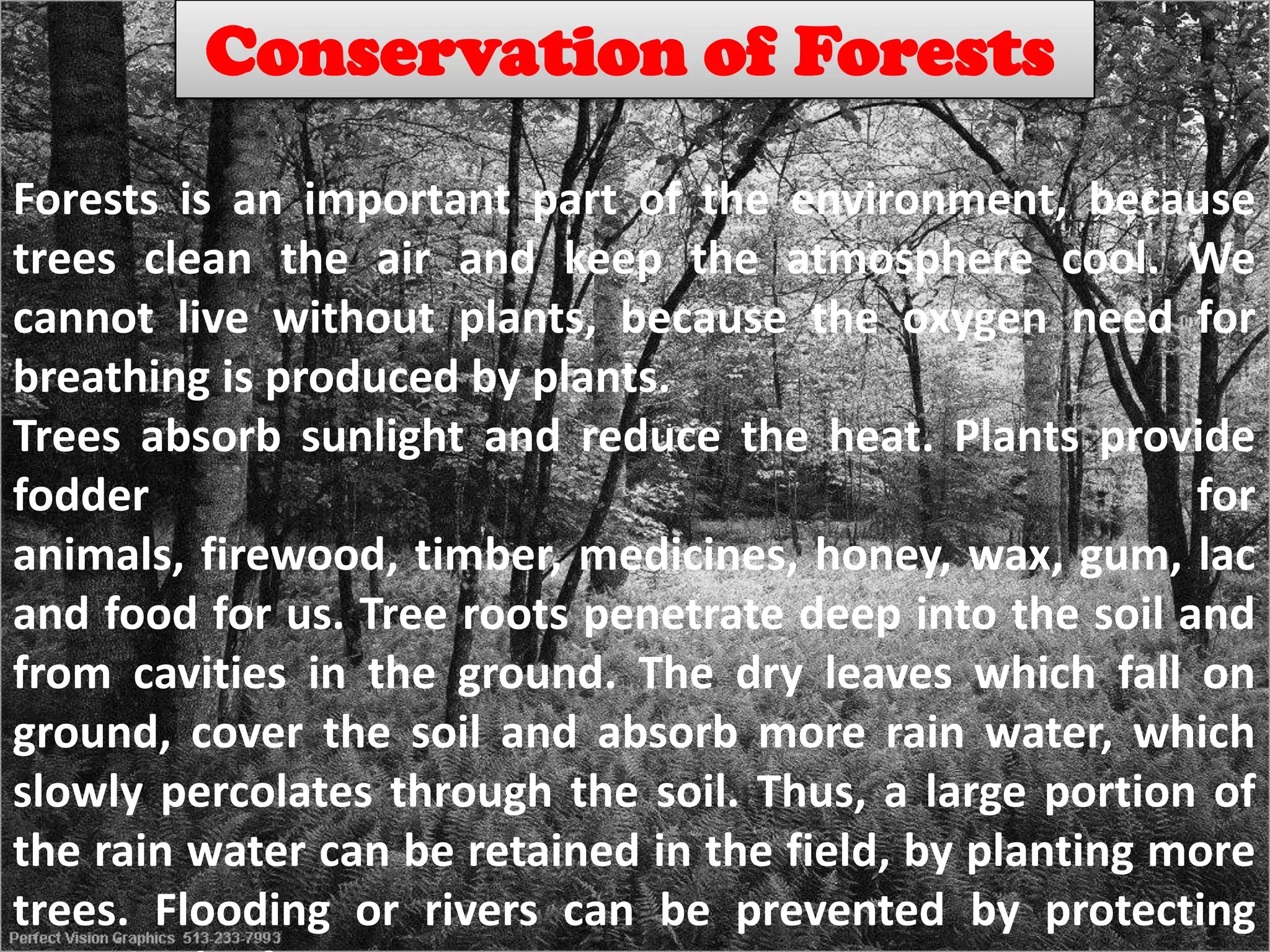 Conservation of natural resources | PPTX