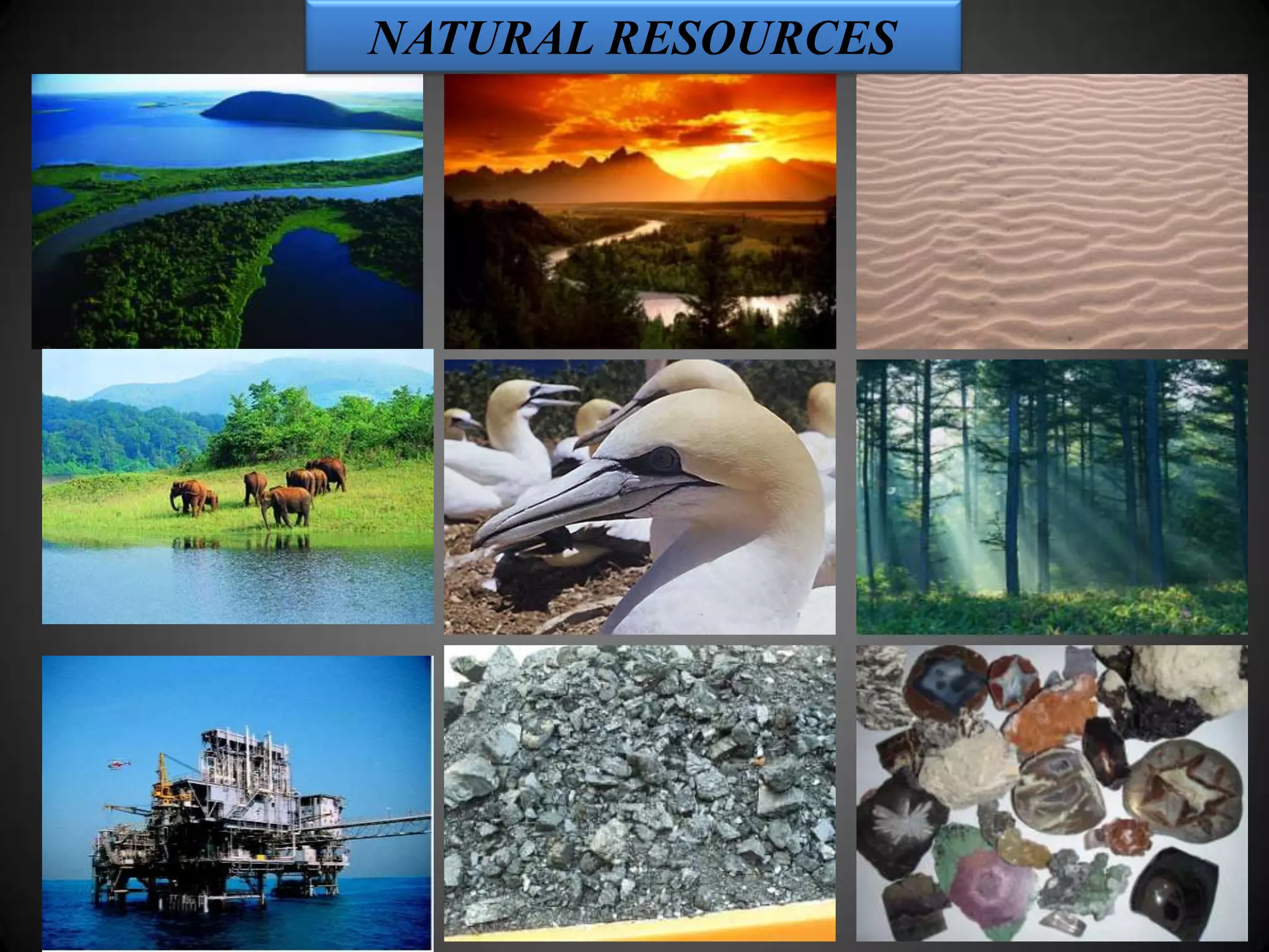 Conservation of natural resources | PPTX