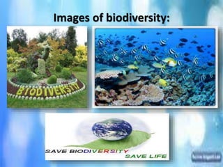 Conservation of natural resources.ppt