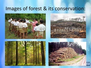 Conservation of natural resources.ppt