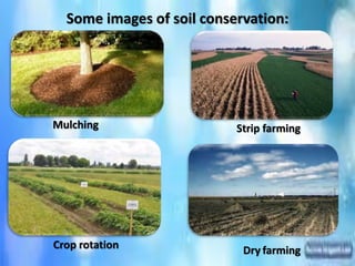 Conservation of natural resources.ppt