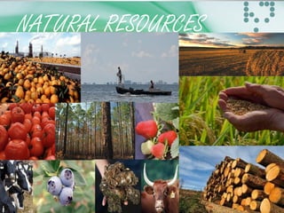 Conservation of natural resources | PPT
