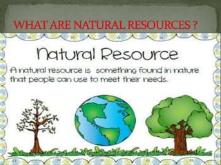 Conservation of natural resources | PPTX