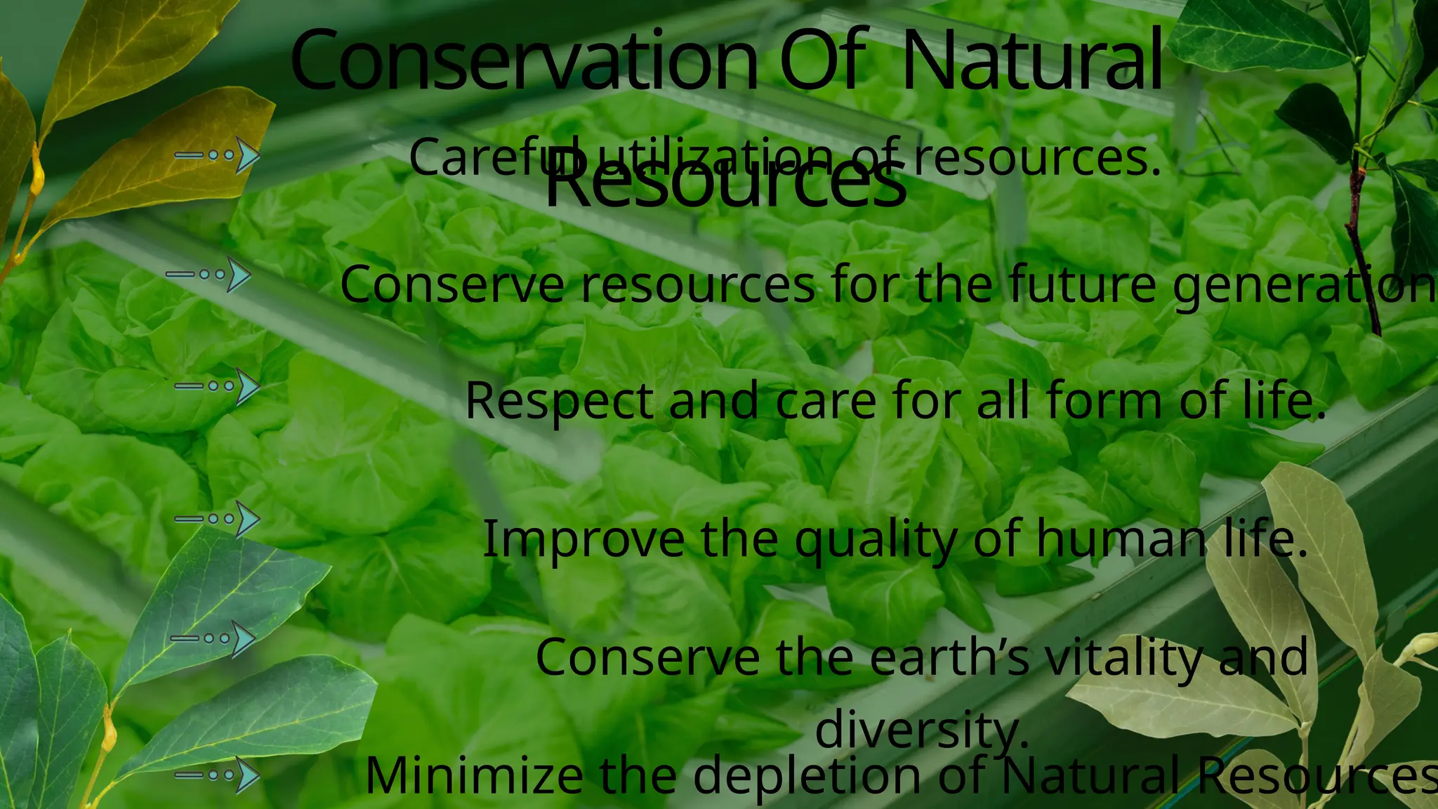 Conservation Of Natural Resources 1.pptx