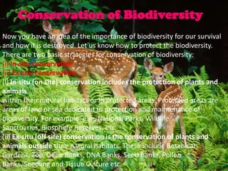 Conservation of natural resources and environment | PPTX