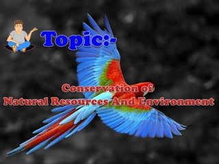 Conservation of natural resources and environment | PPTX