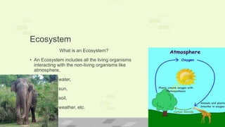 Conservation of plants and animals 2 | PPT