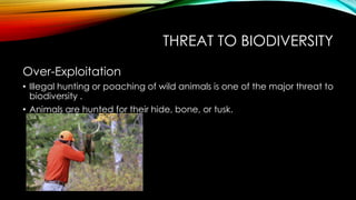 Conservation of plants and animals 2 | PPT