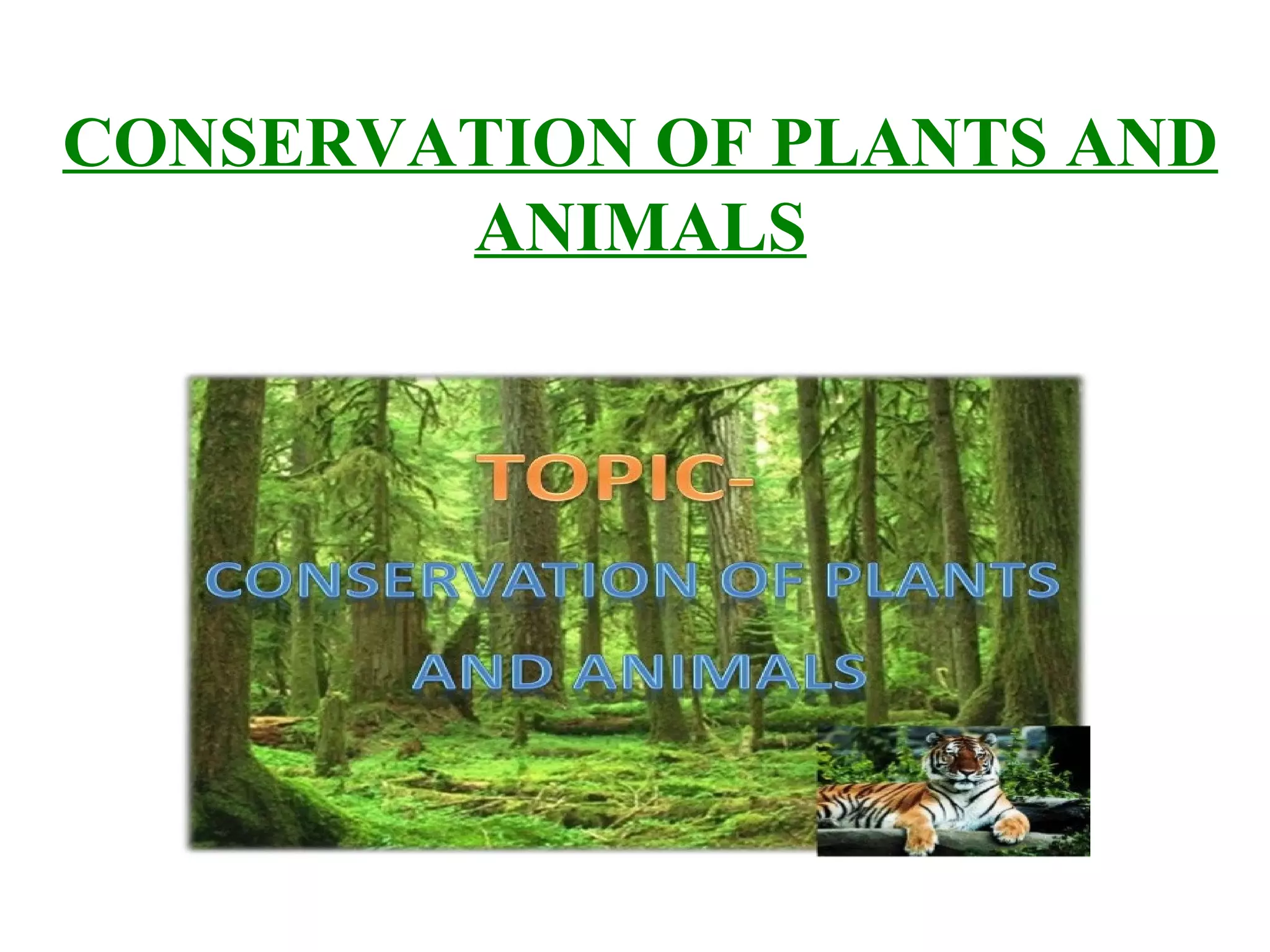 Conservation of Plants and Animals | PPT