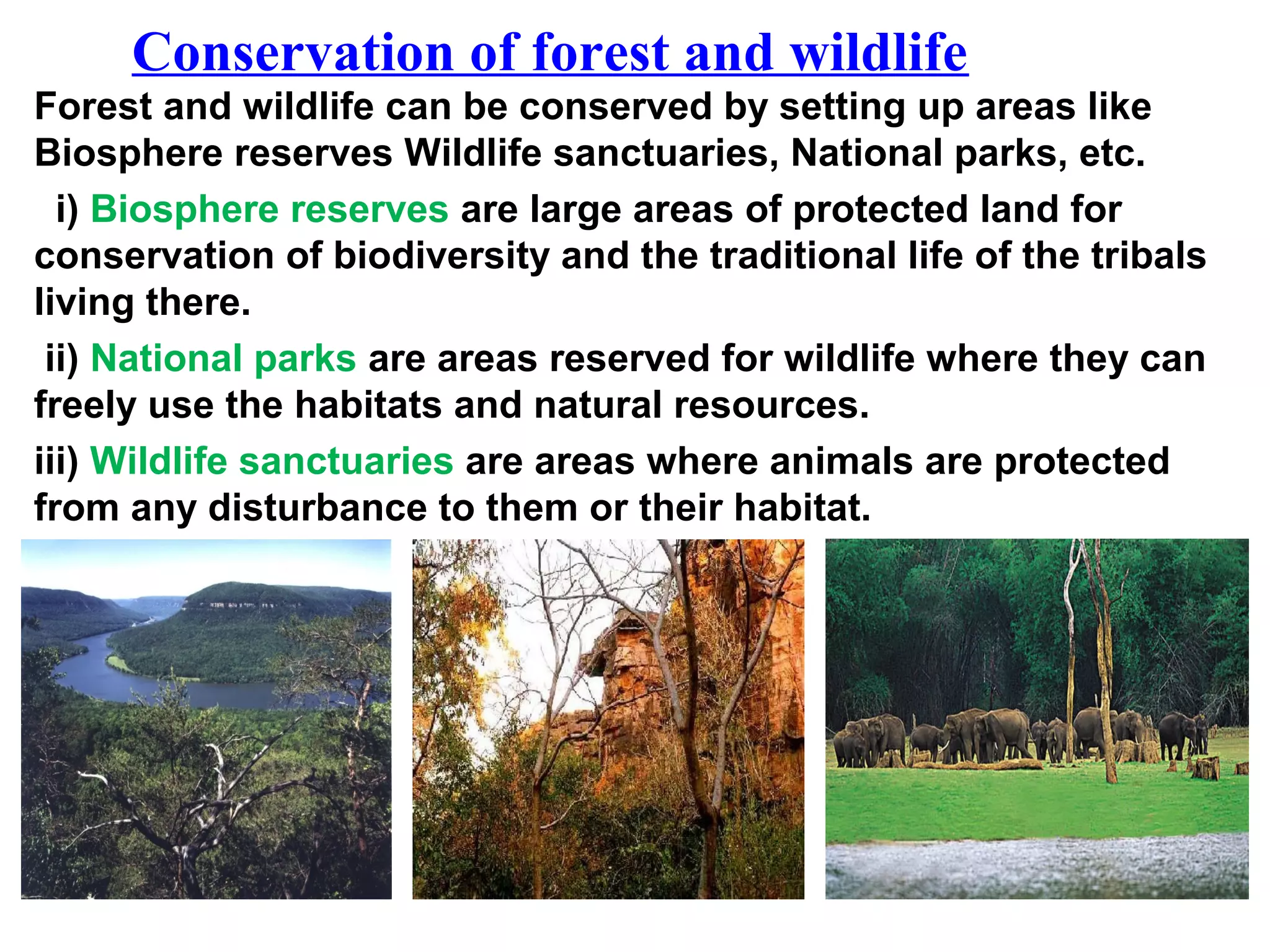 Conservation of Plants and Animals | PPT