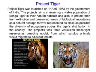 Conservation of Plants and Animals | PPT