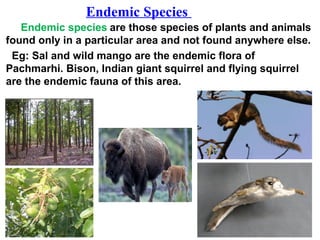 Conservation of Plants and Animals | PPT