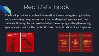 Conservation of plants and animals | PPTX