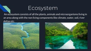Conservation of plants and animals | PPT