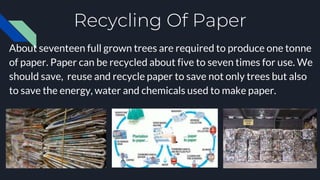 Conservation of plants and animals | PPT