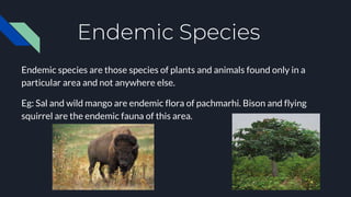 Conservation of plants and animals | PPTX