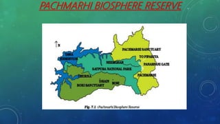 CLASS 8 NCERT SCIENCE Conservation of plants and animals BY GAURAV | PPTX