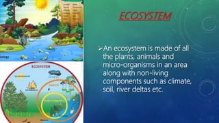 CLASS 8 NCERT SCIENCE Conservation of plants and animals BY GAURAV | PPT
