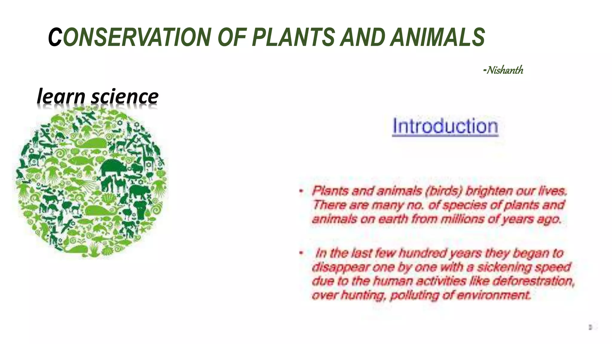 Conservation of plants and animals | PPTX